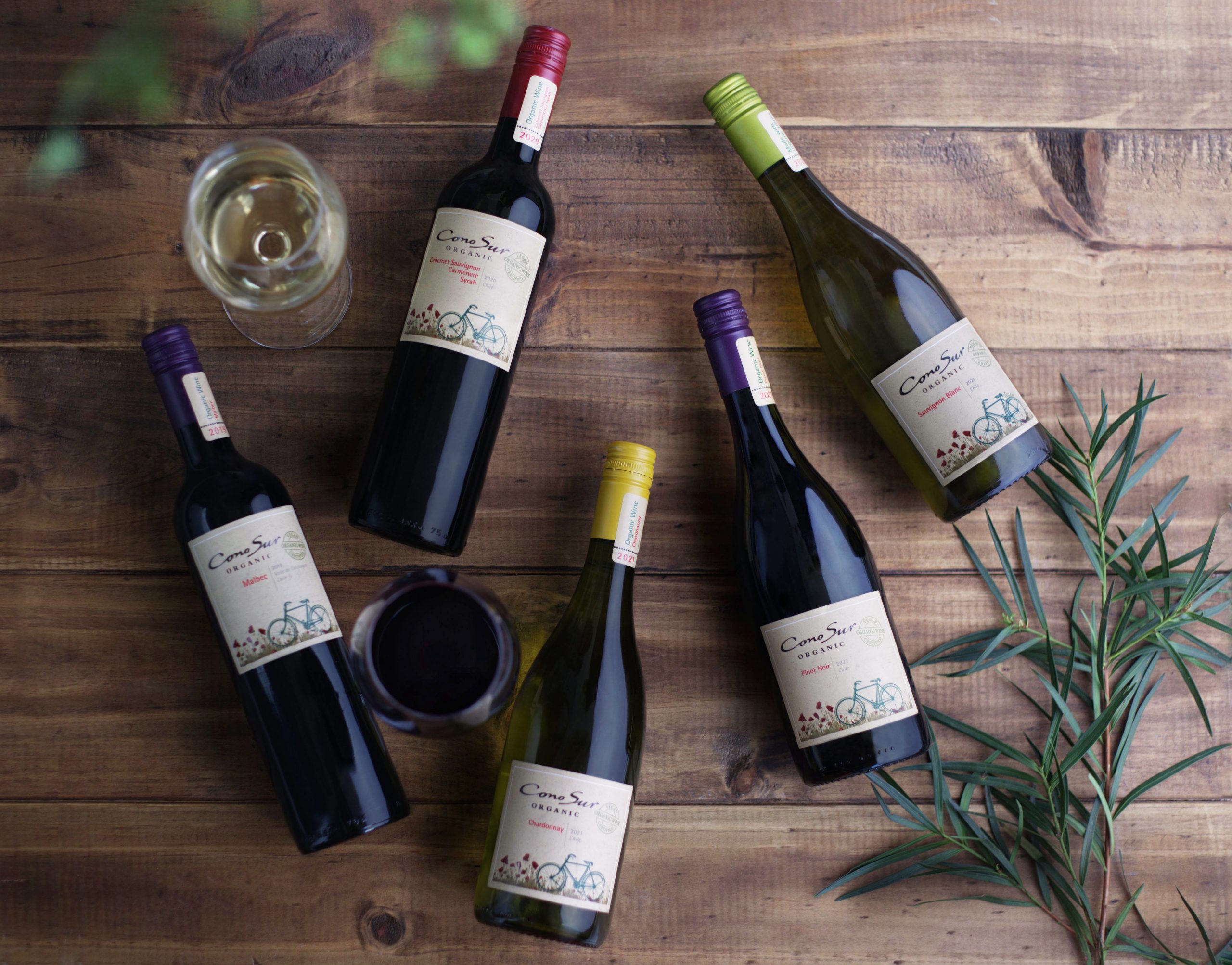 Viñas – Chilean Organic Winegrowers